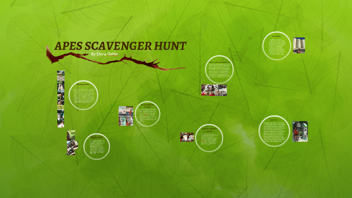 APES SCAVENGER HUNT by Elena Gehle