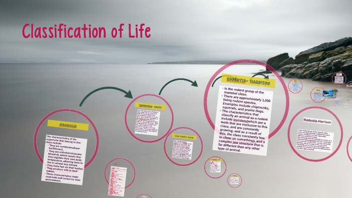 classification of life by elizabeth cardenas