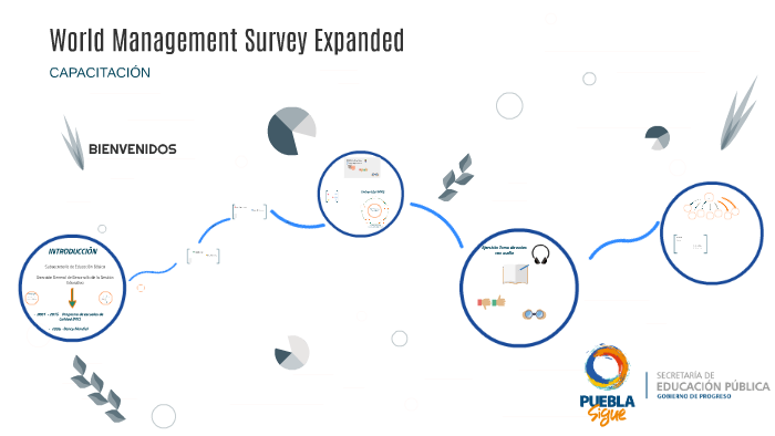 World Management Survey Expanded by Guadalupe Merino on Prezi