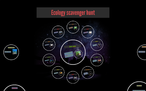 Ecology scavenger hunt by Alex williamson on Prezi