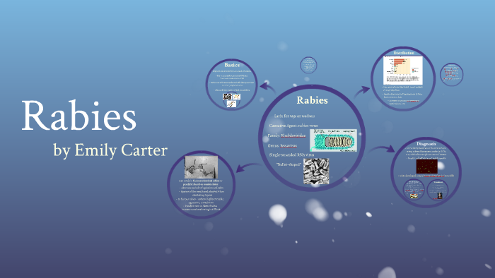 Rabies Disease by Emily Carter on Prezi