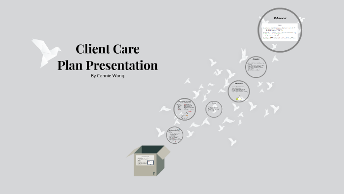 Client Care Plan Presentation by Connie Wong