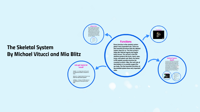 The Skeletal System by michael vitucci on Prezi