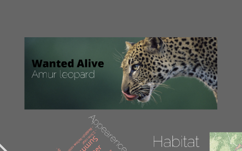 APES - Endangered/Invasive Species Project by William Liang on Prezi