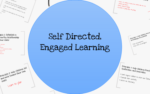 Skill 7: Self-Directed, Engaged Learning by Hannah Dreibelbis on Prezi