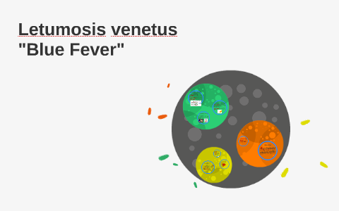 Letumosis venetus by Jennifer Aguilar on Prezi