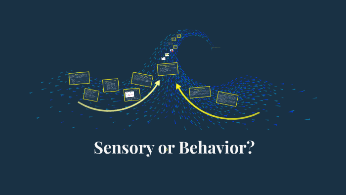 Sensory or Behavior by Brian Lattner on Prezi