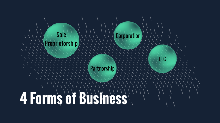 4 Types of Businesses by Alyssa Dewaal on Prezi