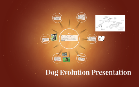 Dog Evolution Presentation by jesus ochoa on Prezi