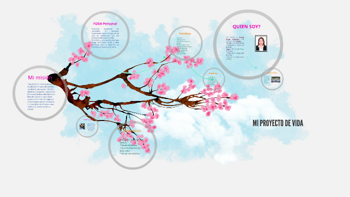 MI PROYECTO DE VIDA by BRENDA SOTELO on Prezi