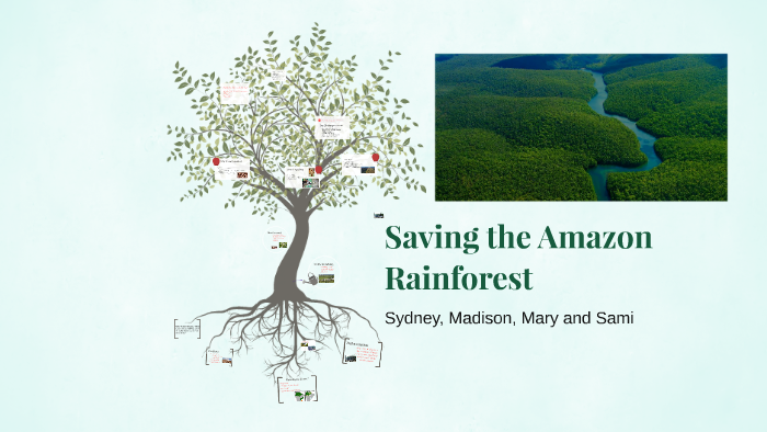 Saving the Amazon Rainforest by Madison Kellerman on Prezi