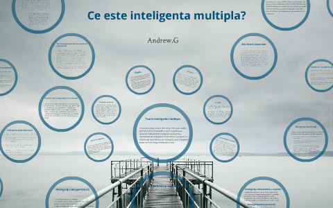 Inteligenta Multipla by Andrew Gheorghe on Prezi