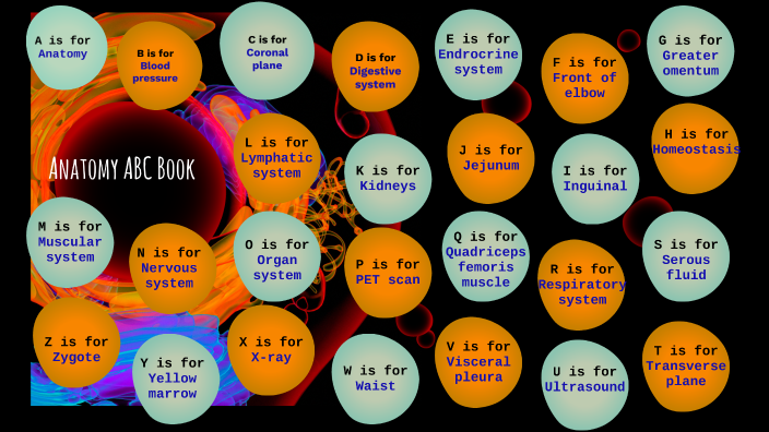 Anatomy ABC Book by Navila Akter on Prezi