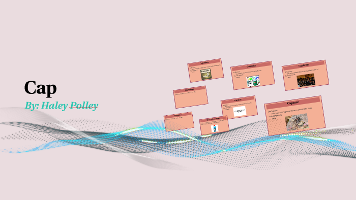 The Prefix Cap by Haley P