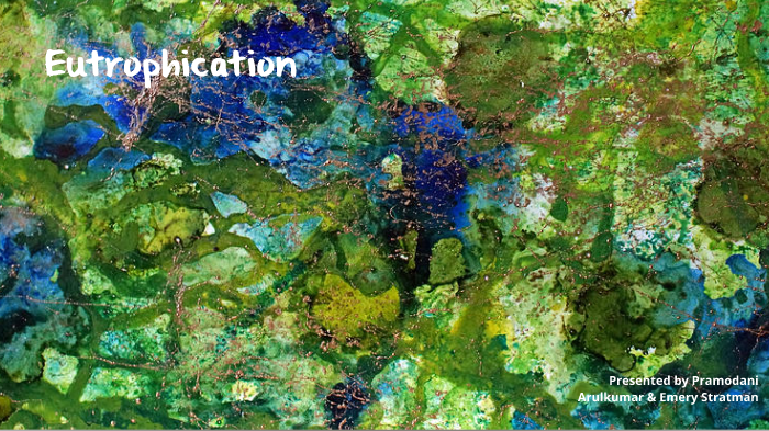 Eutrophication Project by P A on Prezi