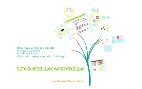 Sustancia intercelular o matriz extracelular by Janmaris Marin on Prezi
