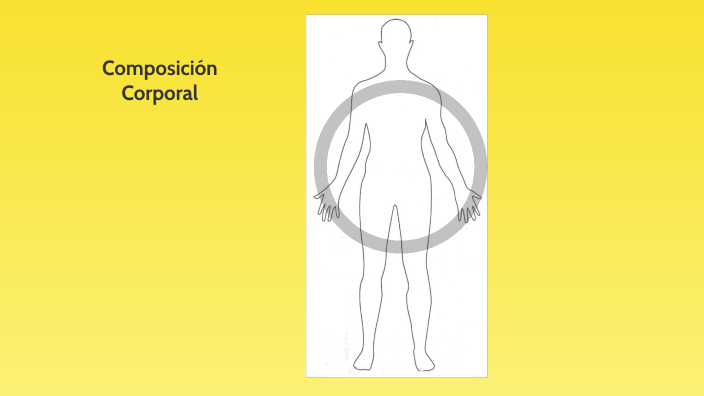 Composición corporal básica by Yvonne Santiago on Prezi