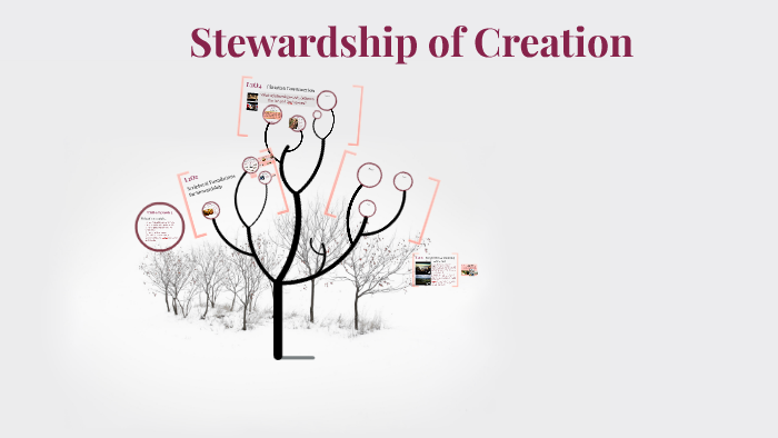 Stewardship of Creation by Jordan Haddad on Prezi