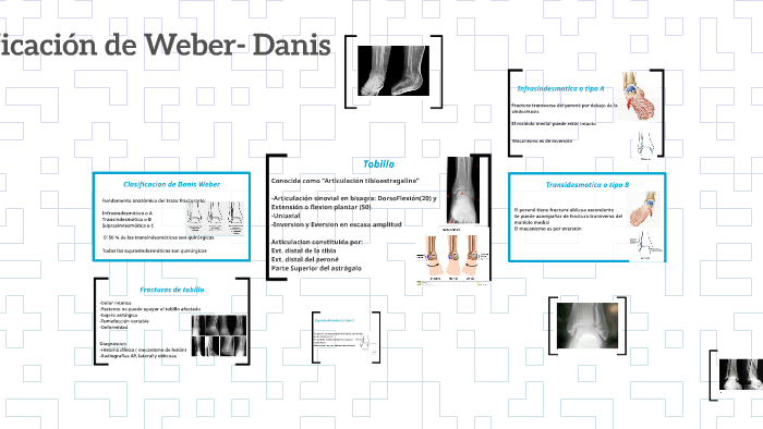 Clasificación de Webber by Gilberto Montoya on Prezi