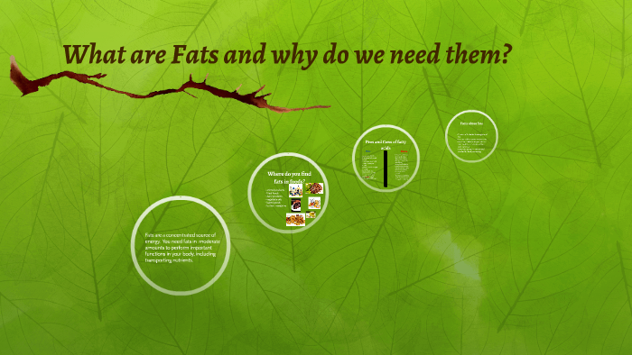 What are Fats and why do we need them? by Taylor Chisholm-Myers