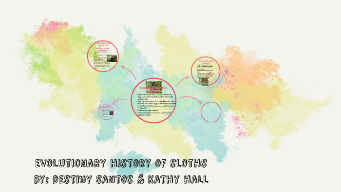 evolutionary history of sloths by Kathy Hall on Prezi