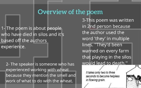 Drowning in Wheat by Elvis Bernabe on Prezi