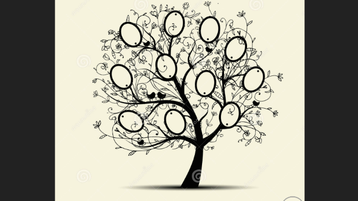 The Borzellino/Savo Family Tree by Claire Bettio on Prezi