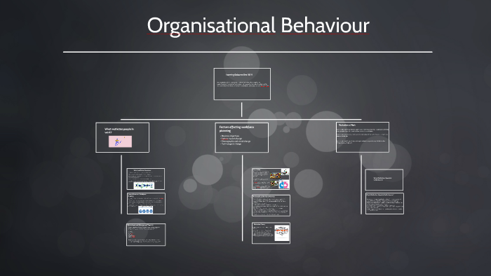 Organisational Behaviour by Mr Lepore on Prezi