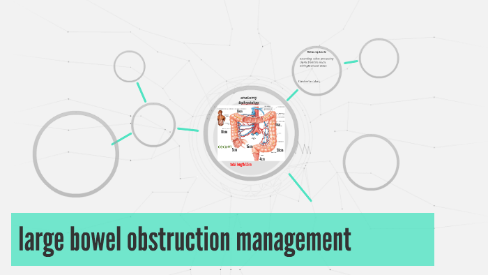 large bowel obstruction management by Amer AK on Prezi