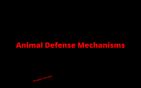 Animal Defense Mechanisms by Zack Code on Prezi