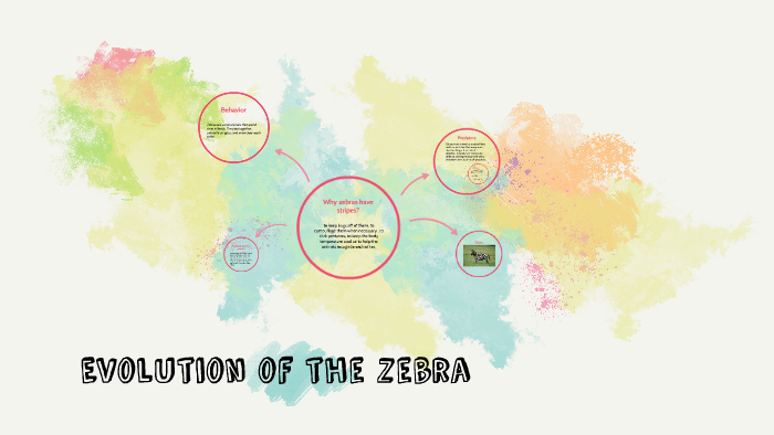 Evolution of the zebra by Whitney Broughman on Prezi