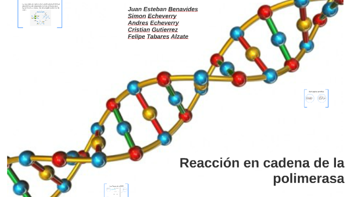 Reacción en cadena de la polimerasa by felipe tabares on Prezi