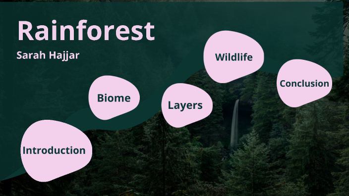 Rainforest Research Project #2 by Sarah Hajjar on Prezi