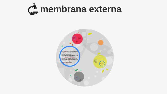 membrana externa by Daniela Canales Dimas on Prezi