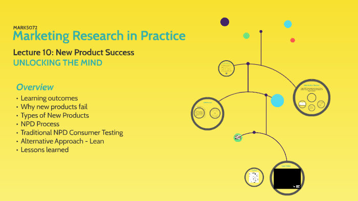 Lecture 10: New Product Success by on Prezi