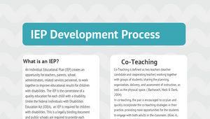 Concept Map IEP Development Process by Mary Heath on Prezi Design