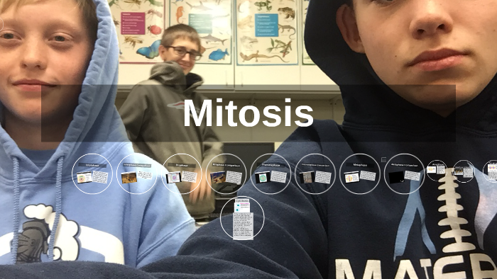 MITOSIS by Drake Rensing on Prezi