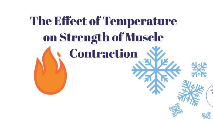 The Effect of Temperature on Strength of Muscle Contraction by Maddie ...
