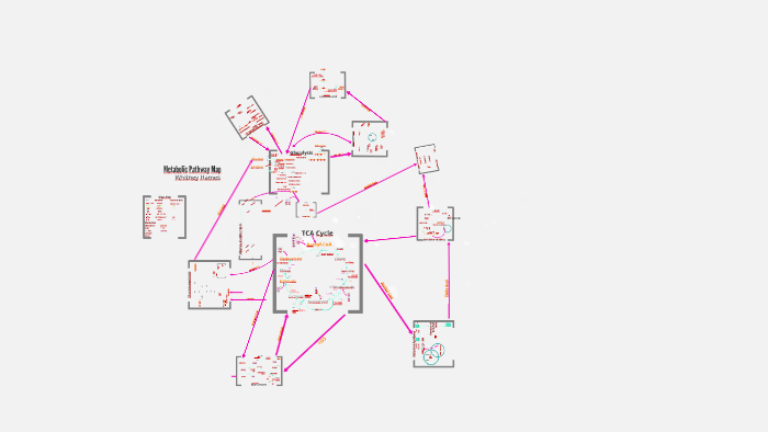 Metabolic Pathway Map by Whitney Hames on Prezi