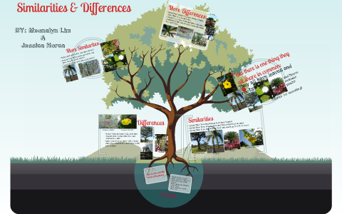 Similarities and Differences of certain Plants by Bree Watts on Prezi