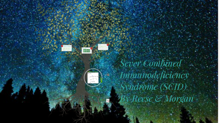 Sever Combined Immunodeficiency Syndrome by Reese Rousseau