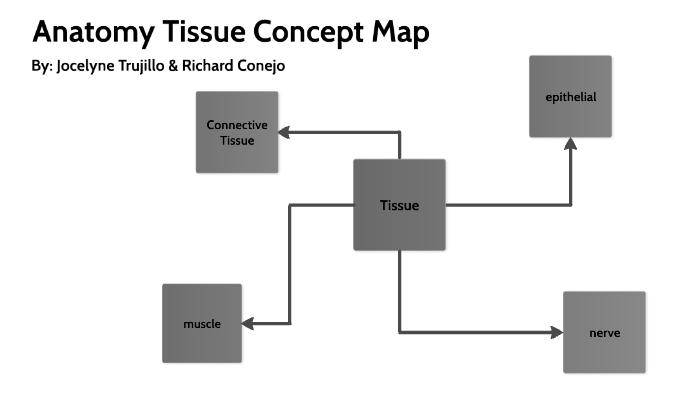 Tissue Concept Map by Jocelyne Trujillo on Prezi