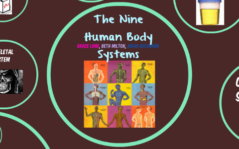 The Nine Human Body Systems by Combusting Chickens on Prezi