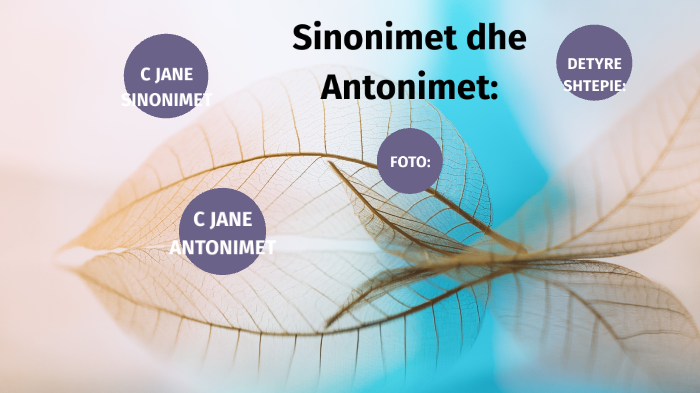 sinonimet dhe antonimet by klodiana doka on Prezi