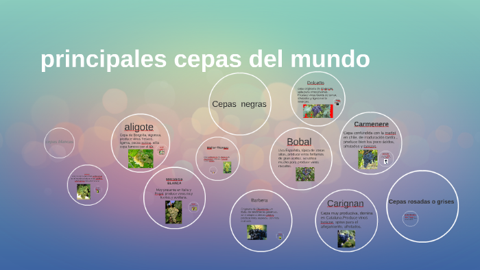 principales cepas del mundo by Julio Ladino on Prezi