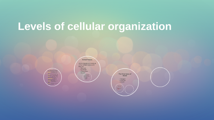 Levels of cellular organization by Pin Cab on Prezi