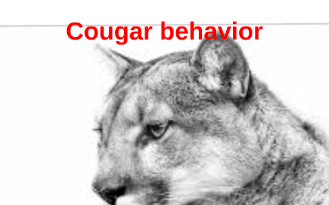 Puma behavior by catalina medina valdés on Prezi