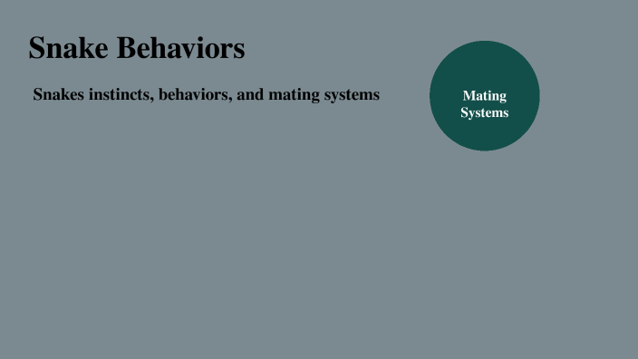 Snake Behaviors by Natalie Richardson on Prezi