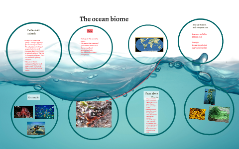 The ocean biome by Sydney Southwick on Prezi