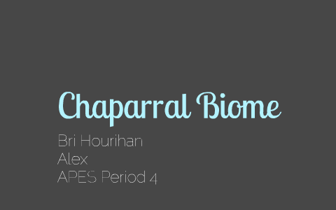 Chaparral Biome Project by Brianna Hourihan on Prezi